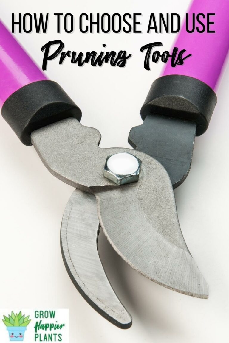 What are the Different Tools for Pruning? - growhappierplants.com