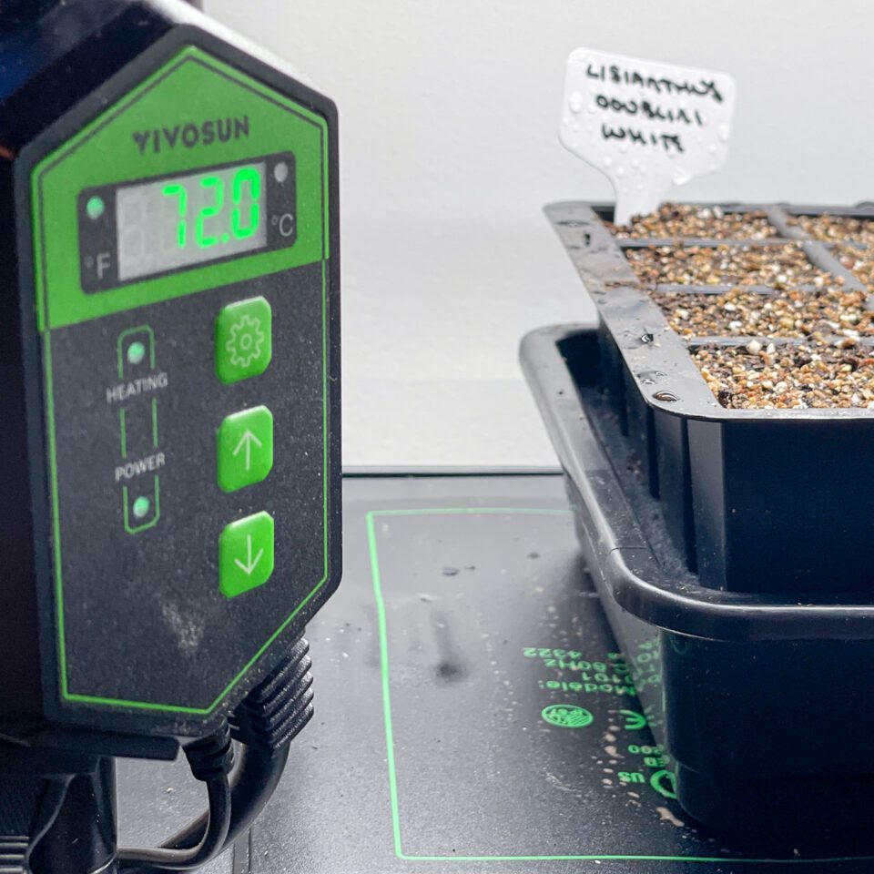 Do I Need a Heat Mat to Start Seeds? - growhappierplants.com