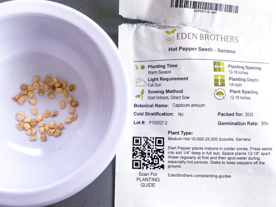 How to Grow Peppers from Seed - growhappierplants.com