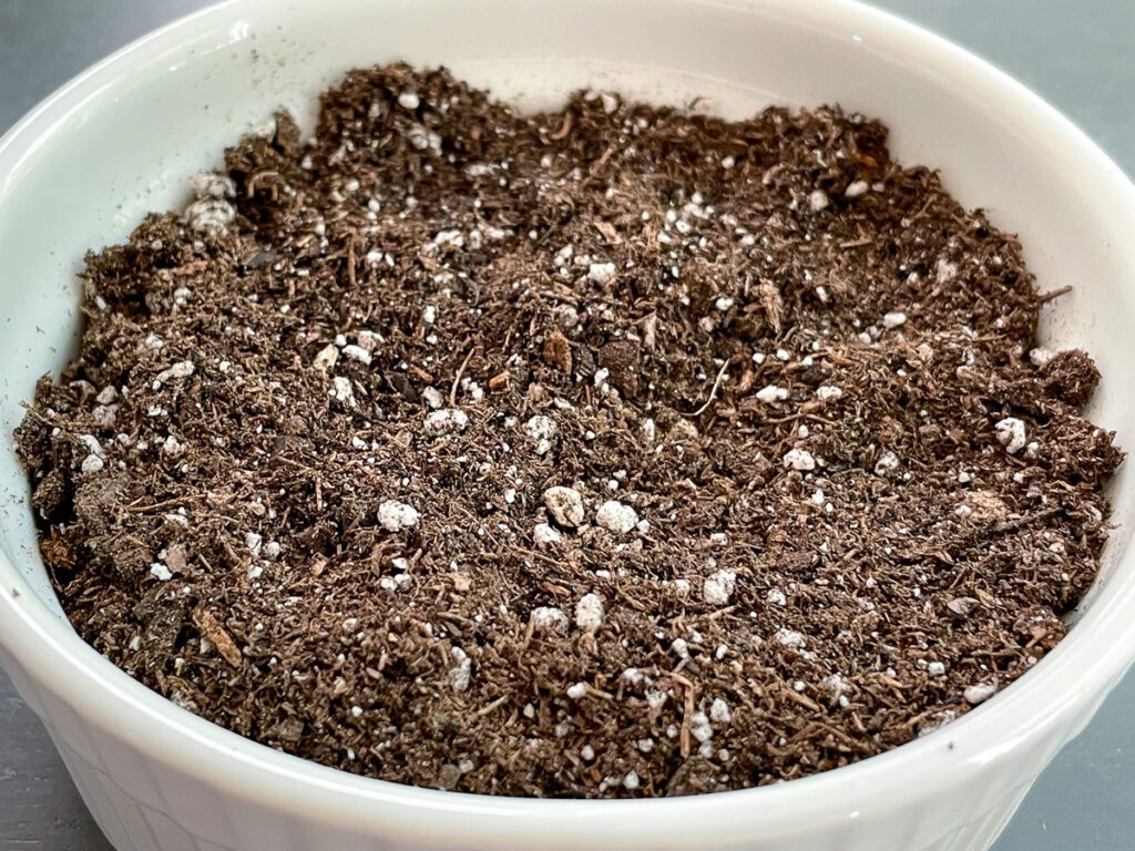 Seed Starting Mix vs Potting Soil - growhappierplants.com