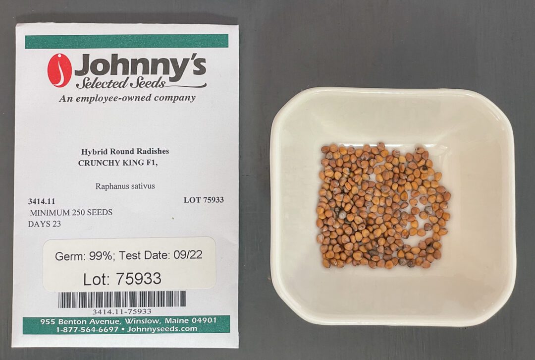 How to Grow Radishes from Seed - growhappierplants.com