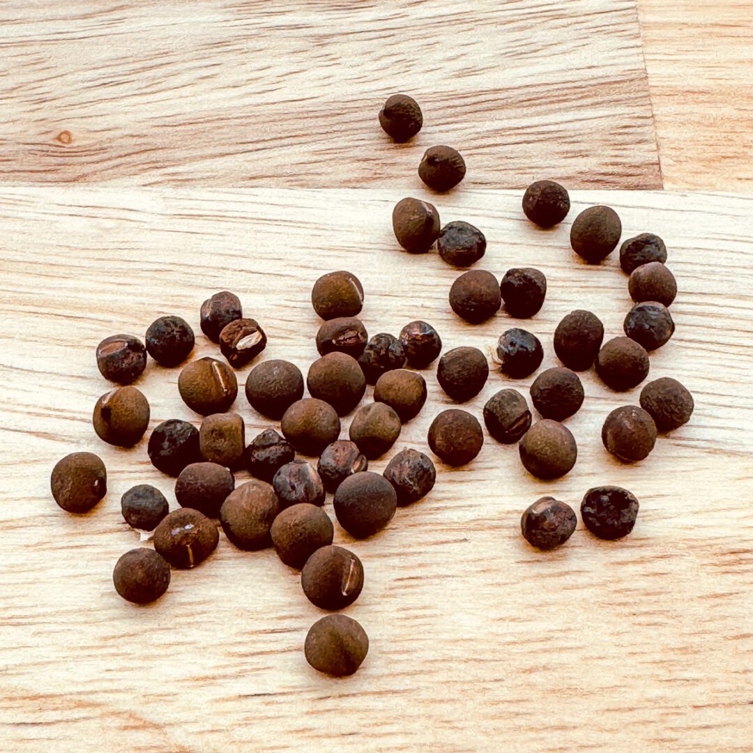 How to Save Sweet Pea Seeds - growhappierplants.com